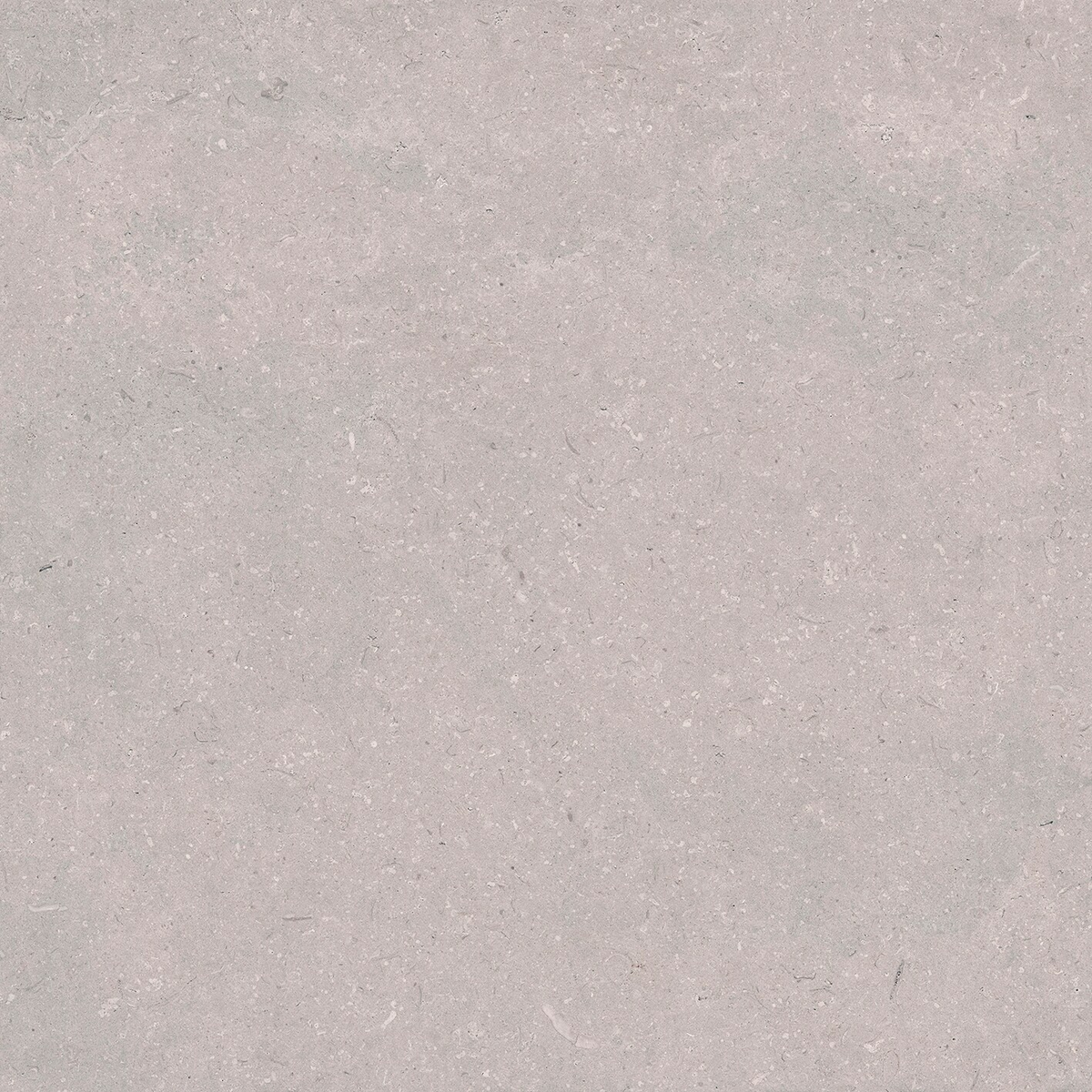 CORAL ACERO 120X120X0,85 | Flisespekteret